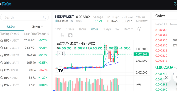 METAF TOKEN 꿈틀거리다